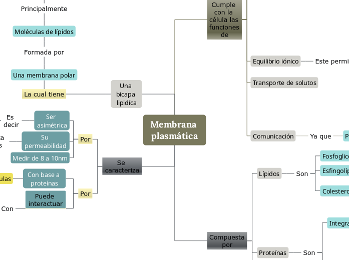 Membrana plasmática - Mind Map